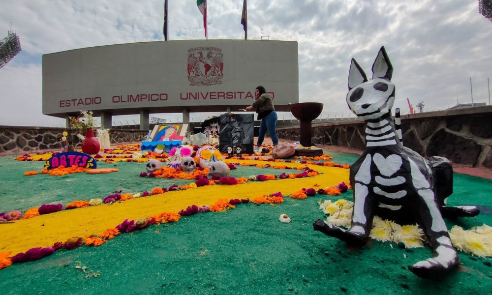 Así puedes visitar la Megaofrenda UNAM 2024 - Siete24 Noticias con ...