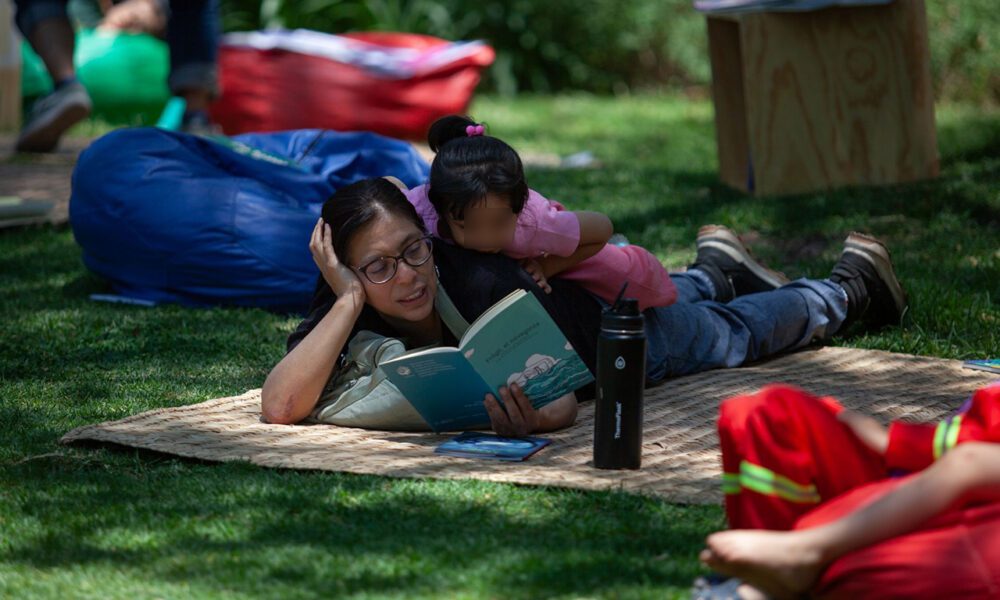 Cómo nace un lector: hogar, escuela y redes marcan la ruta de lectura ...